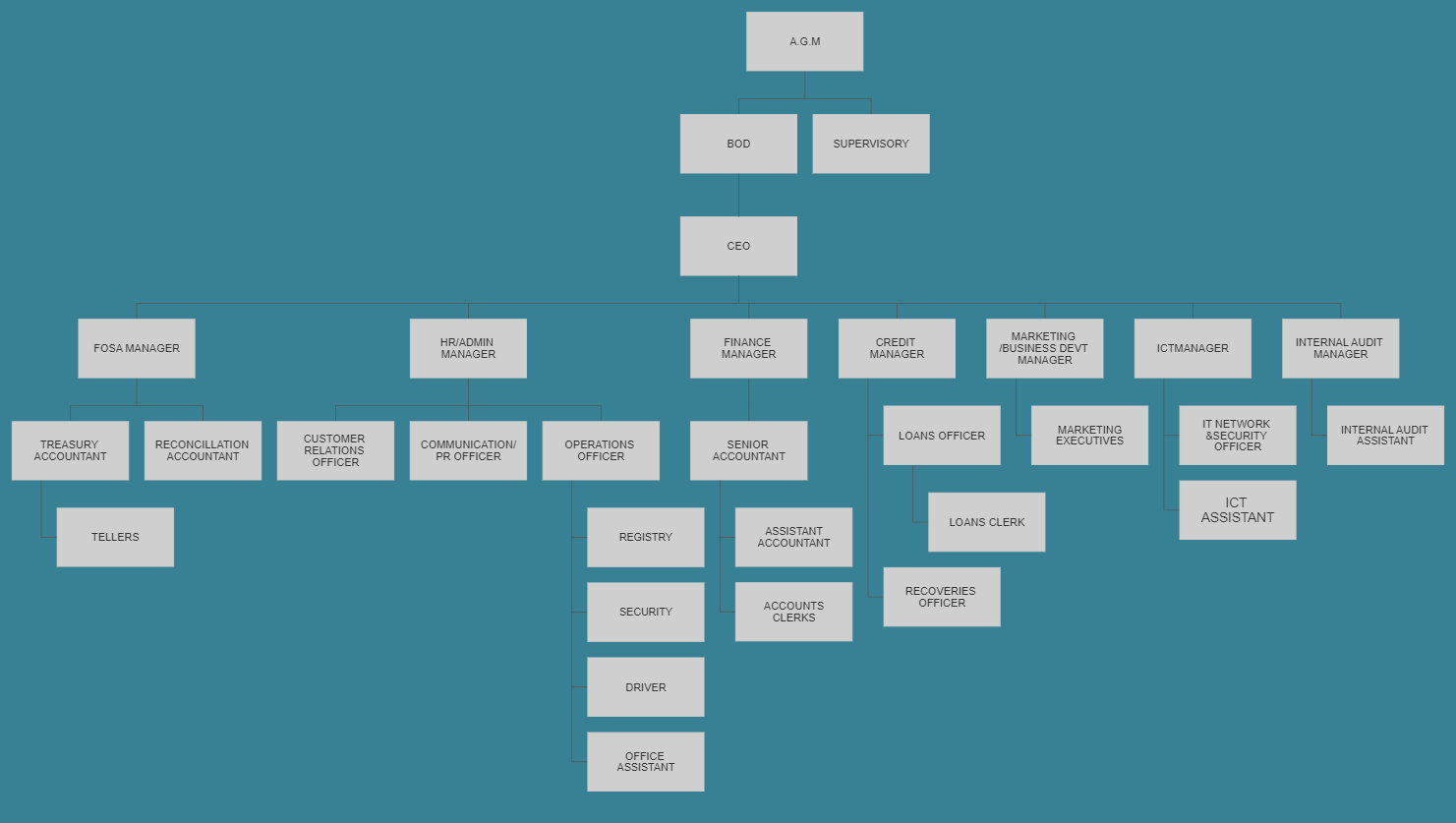 Organization Structure – Biblia Sacco